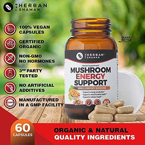 mushroom supplement for vitality and focus