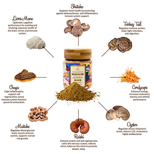 mushroom supplement for vitality