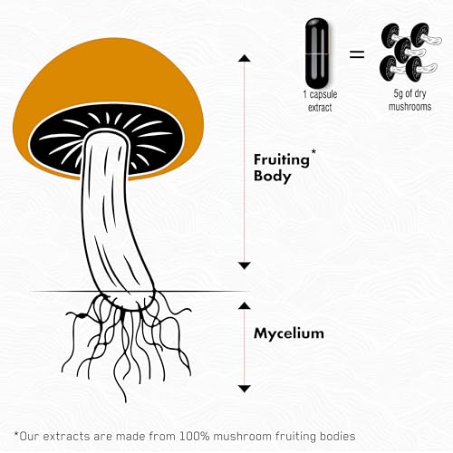mushroom supplement for vitality