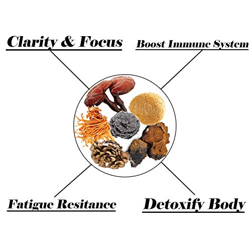 mushroom supplement with beta-glucans