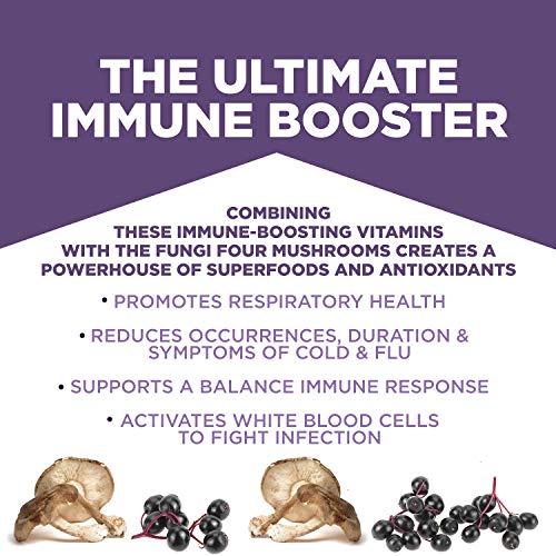 mushroom supplement with chaga