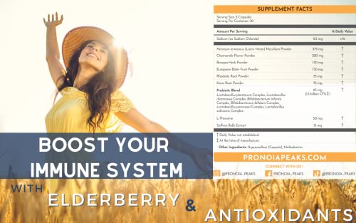 mushroom supplement with probiotics