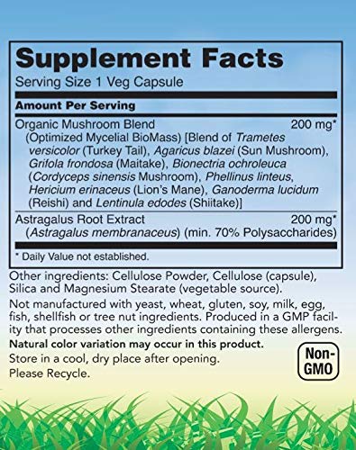 mushroom supplements for better immunity