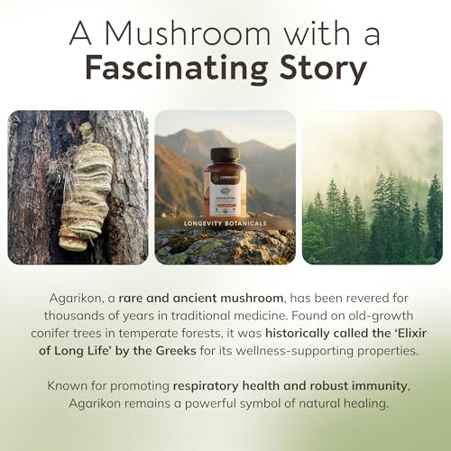 Mushroom supplements for better immunity