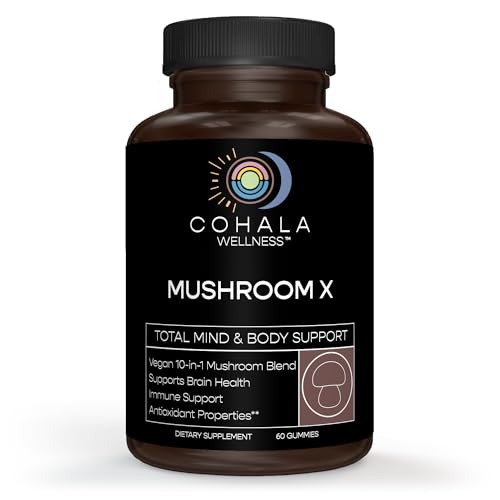 Mushroom supplements for brain health
