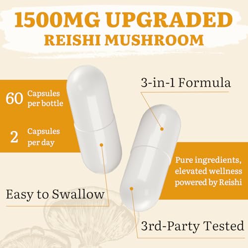 mushroom supplements for daily nutrition
