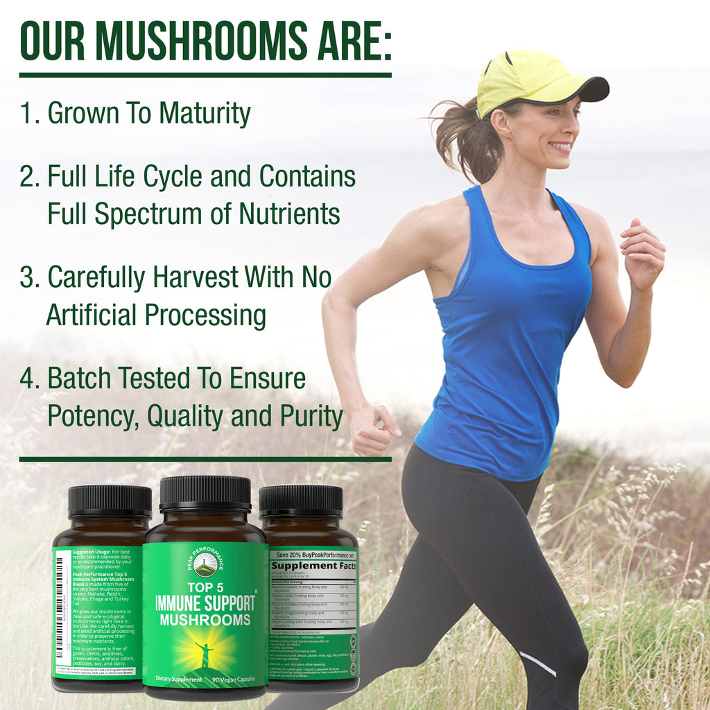 mushroom supplements for energy