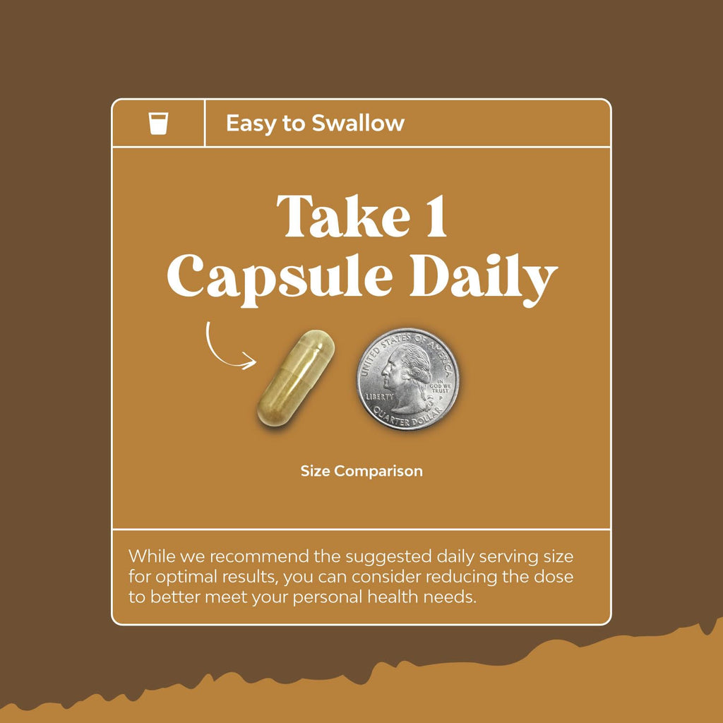 Mushroom supplements for enhanced productivity