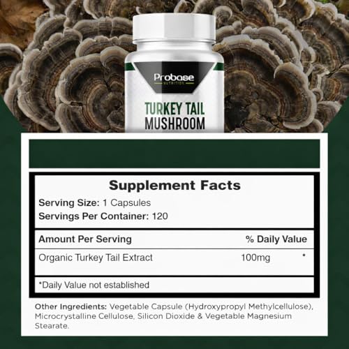 Mushroom supplements for gut microbiome