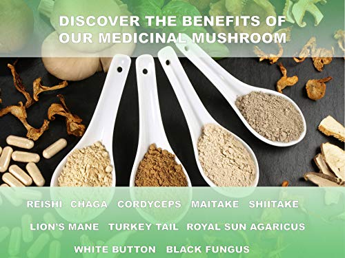 mushroom supplements for holistic health