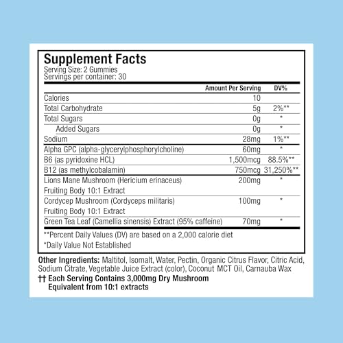 Mushroom supplements for holistic health