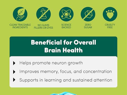 mushroom supplements for holistic health