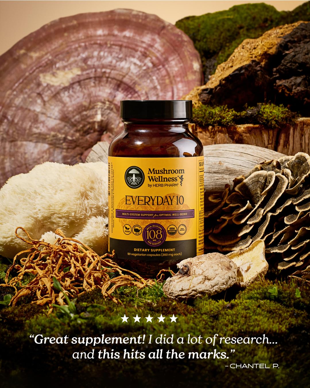 mushroom supplements for holistic health