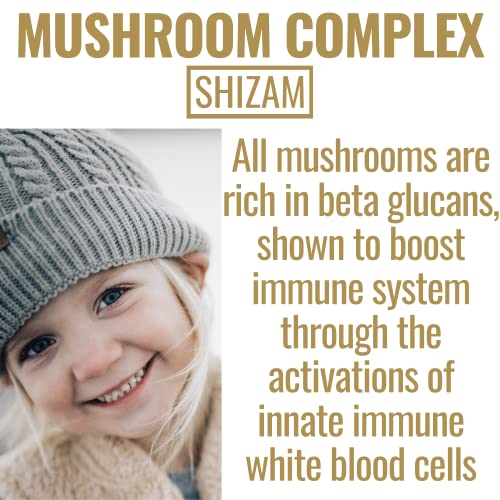mushroom supplements for holistic wellness