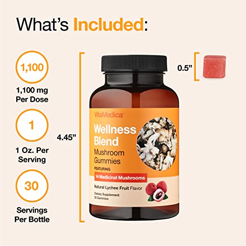 mushroom supplements for mental clarity