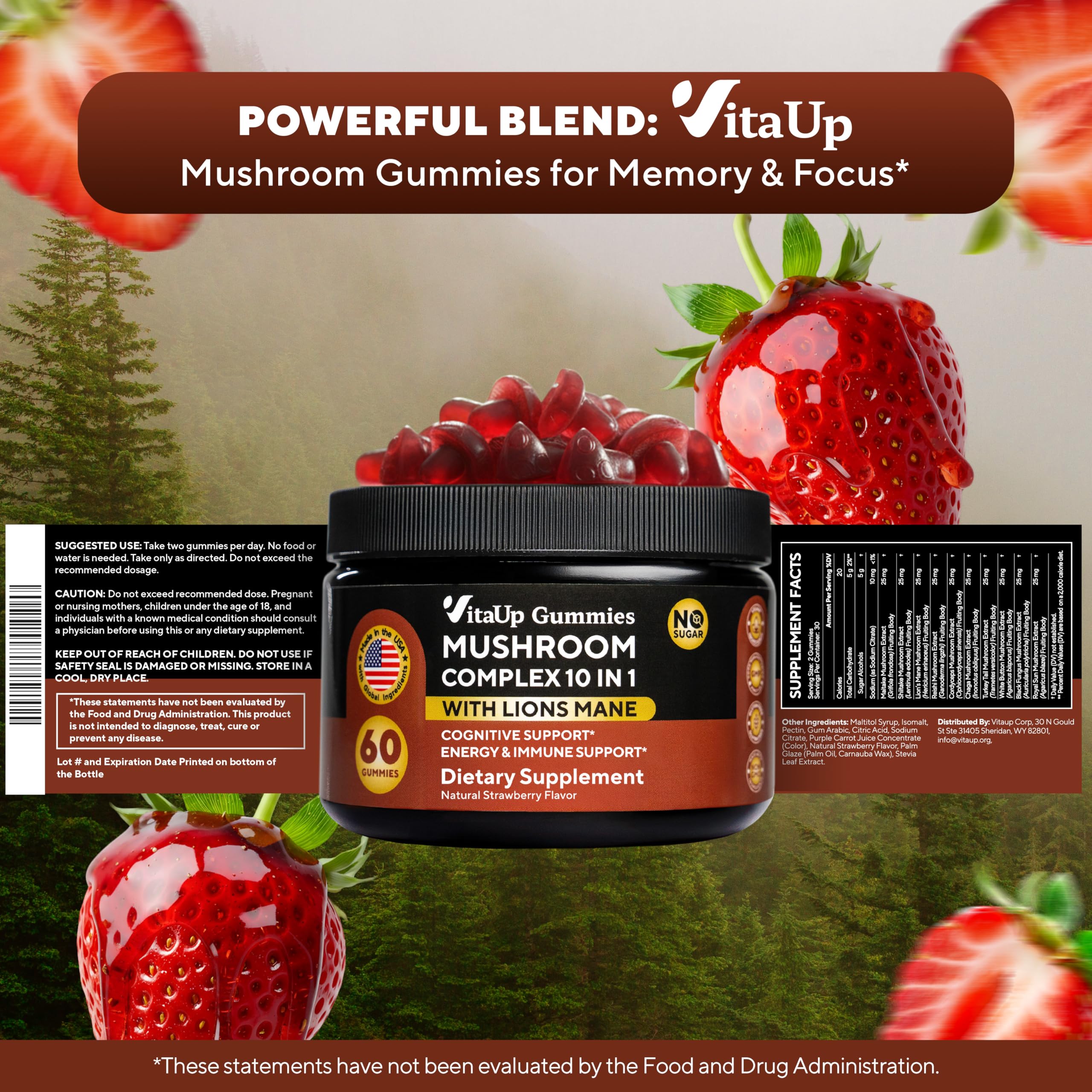 mushroom supplements for mental clarity