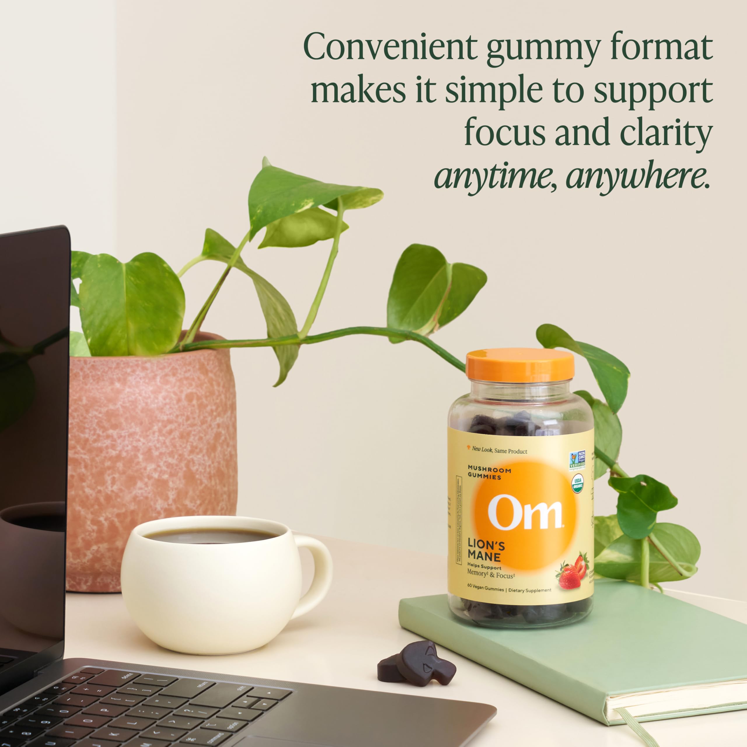 Mushroom supplements for mental clarity