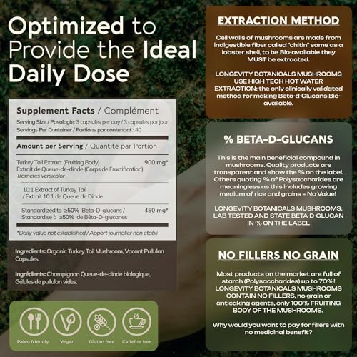 Mushroom supplements for natural energy