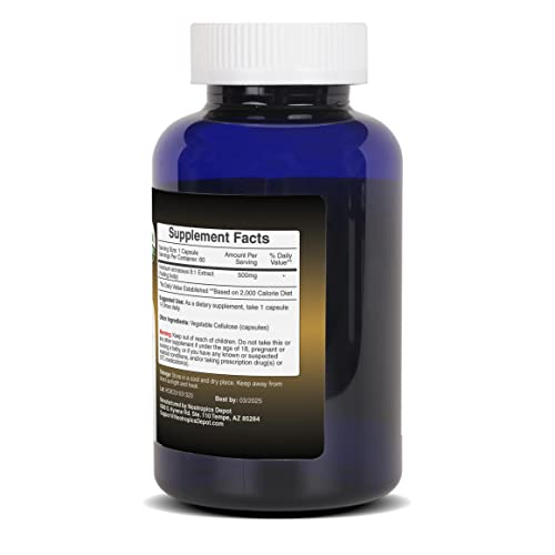 Mushroom supplements for overall health