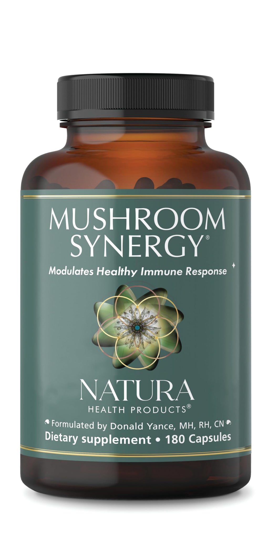 mushroom synergy for immune support