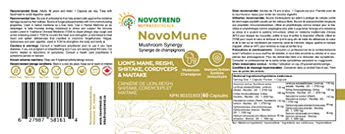 mushroom synergy for wellness