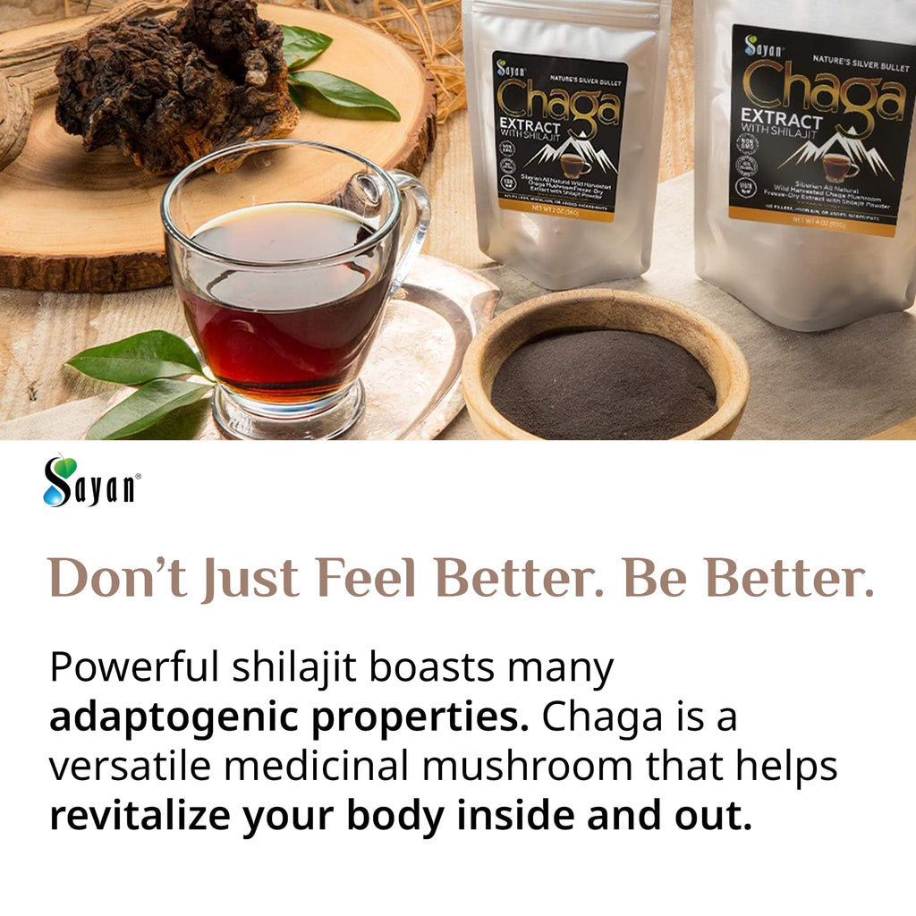 Mushroom tea for energy and focus