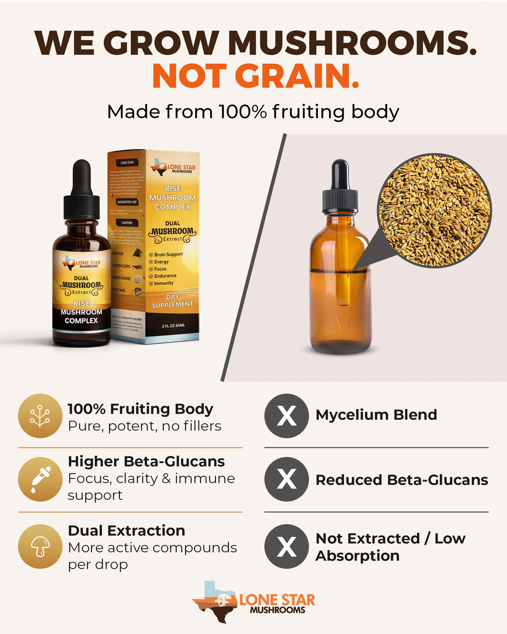Mushroom tincture for cognitive support