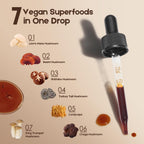 Mushroom tincture for daily health
