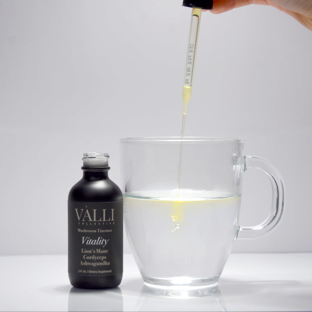 Mushroom tincture for daily wellness