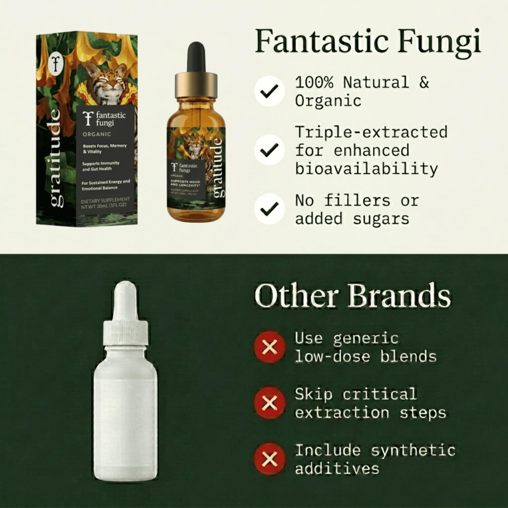 mushroom tincture for digestive health