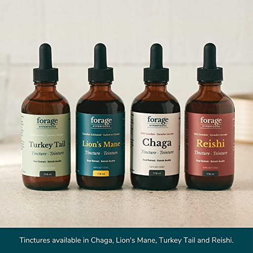 mushroom tincture for enhanced memory