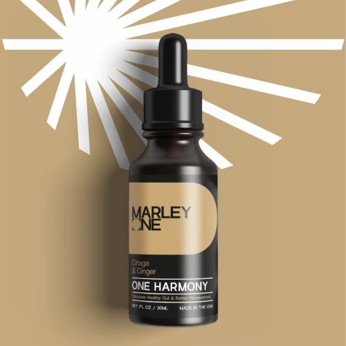 Mushroom tincture for healthy lifestyle