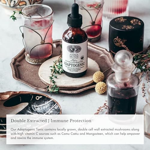 mushroom tincture for holistic healing