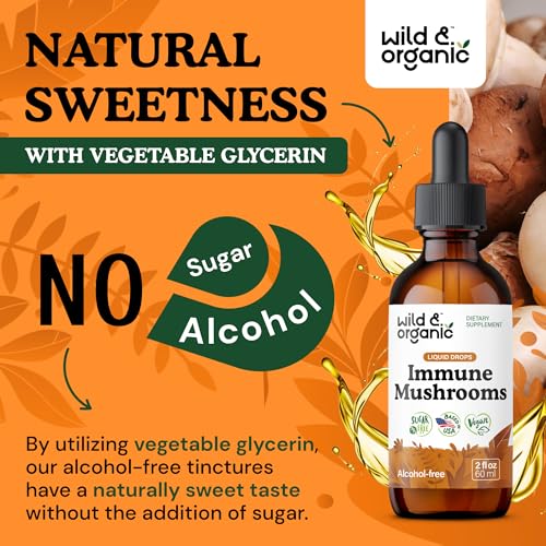 Mushroom tincture for holistic health
