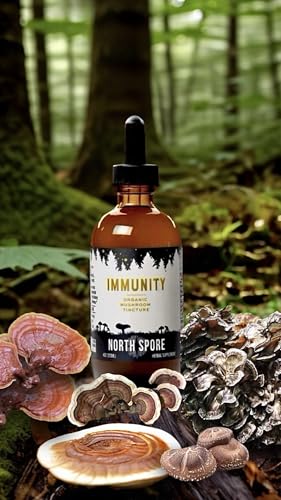 mushroom tincture for holistic health
