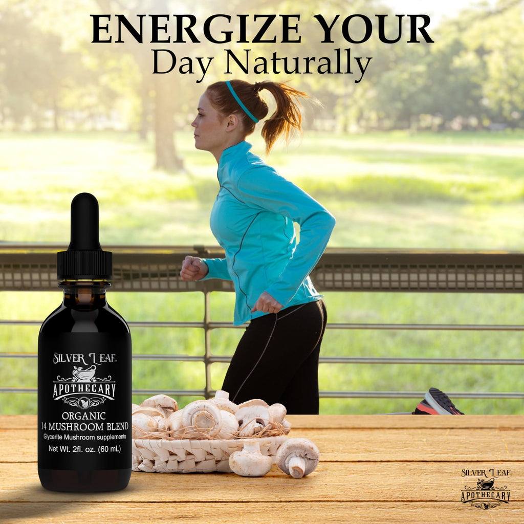 mushroom tincture for holistic health
