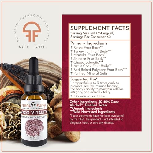 mushroom tincture for holistic wellness