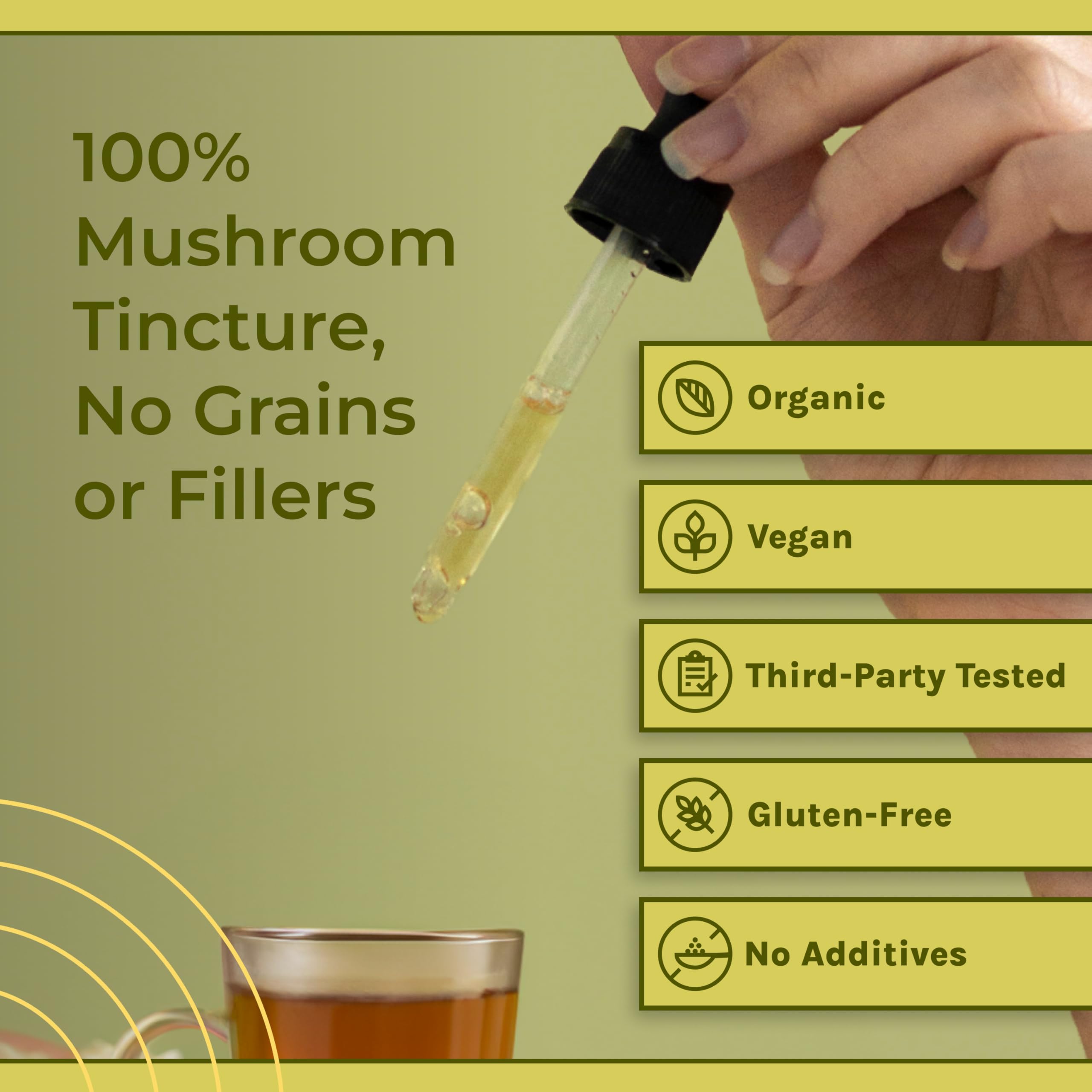 Mushroom tincture for improved concentration