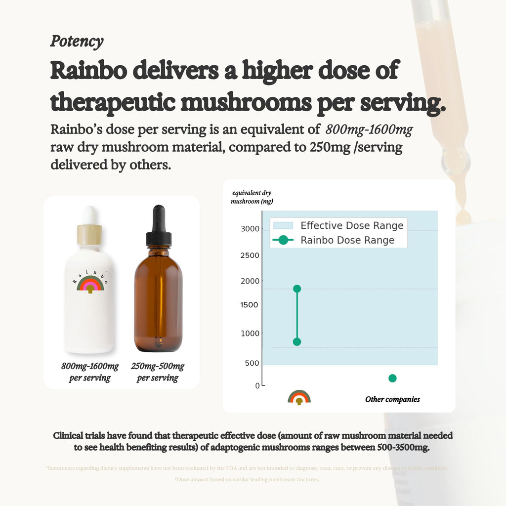 Mushroom tincture for mental clarity