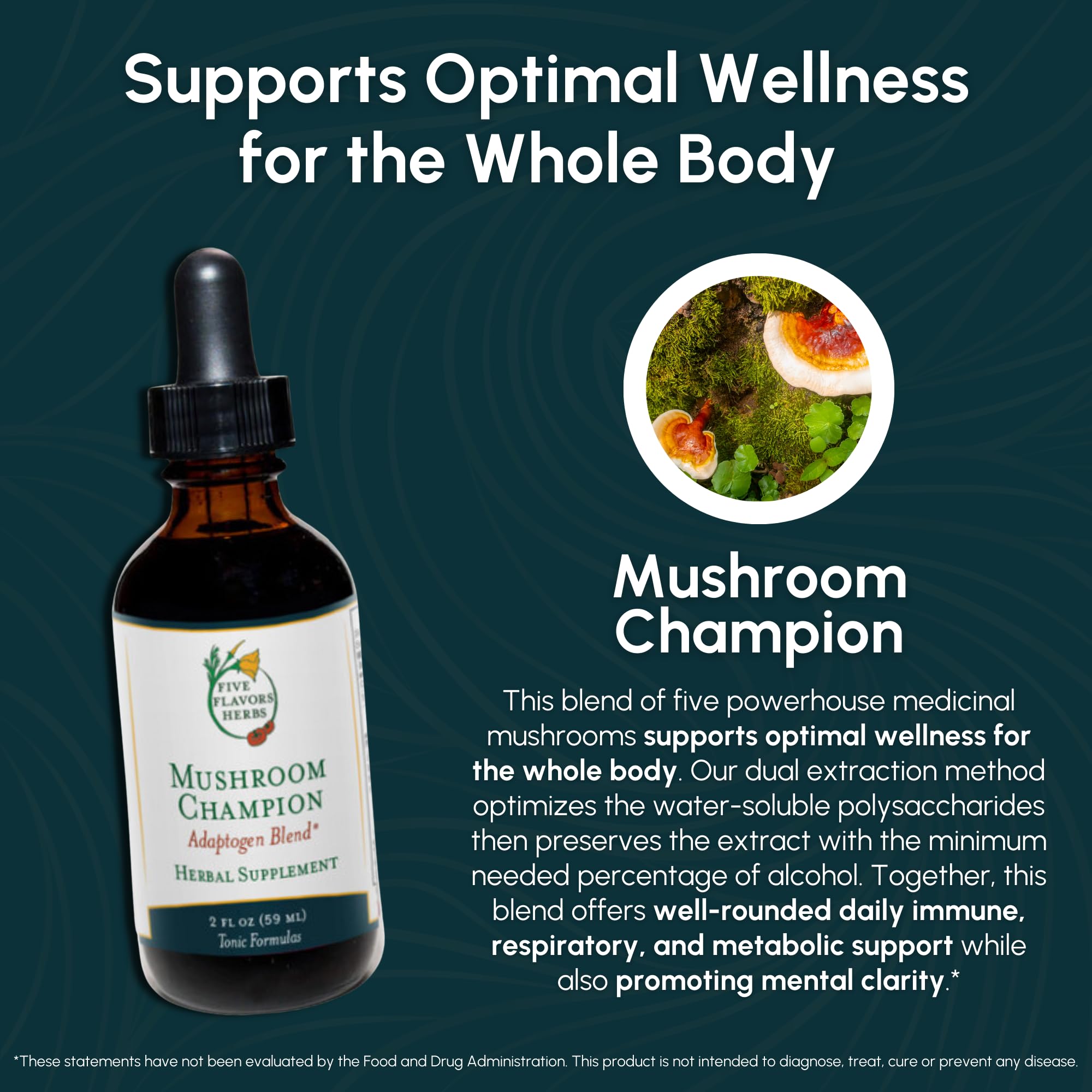 Mushroom tincture for metabolic health