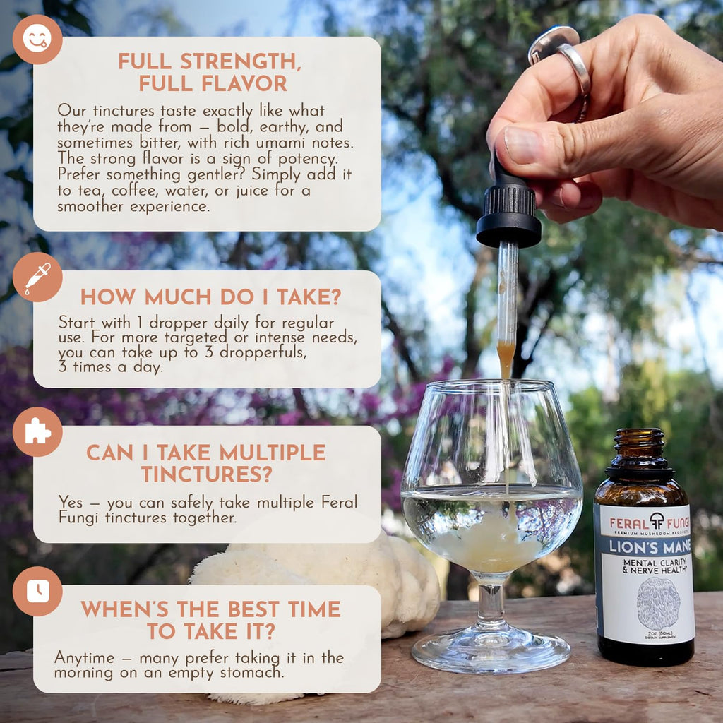 mushroom tincture for overall wellness