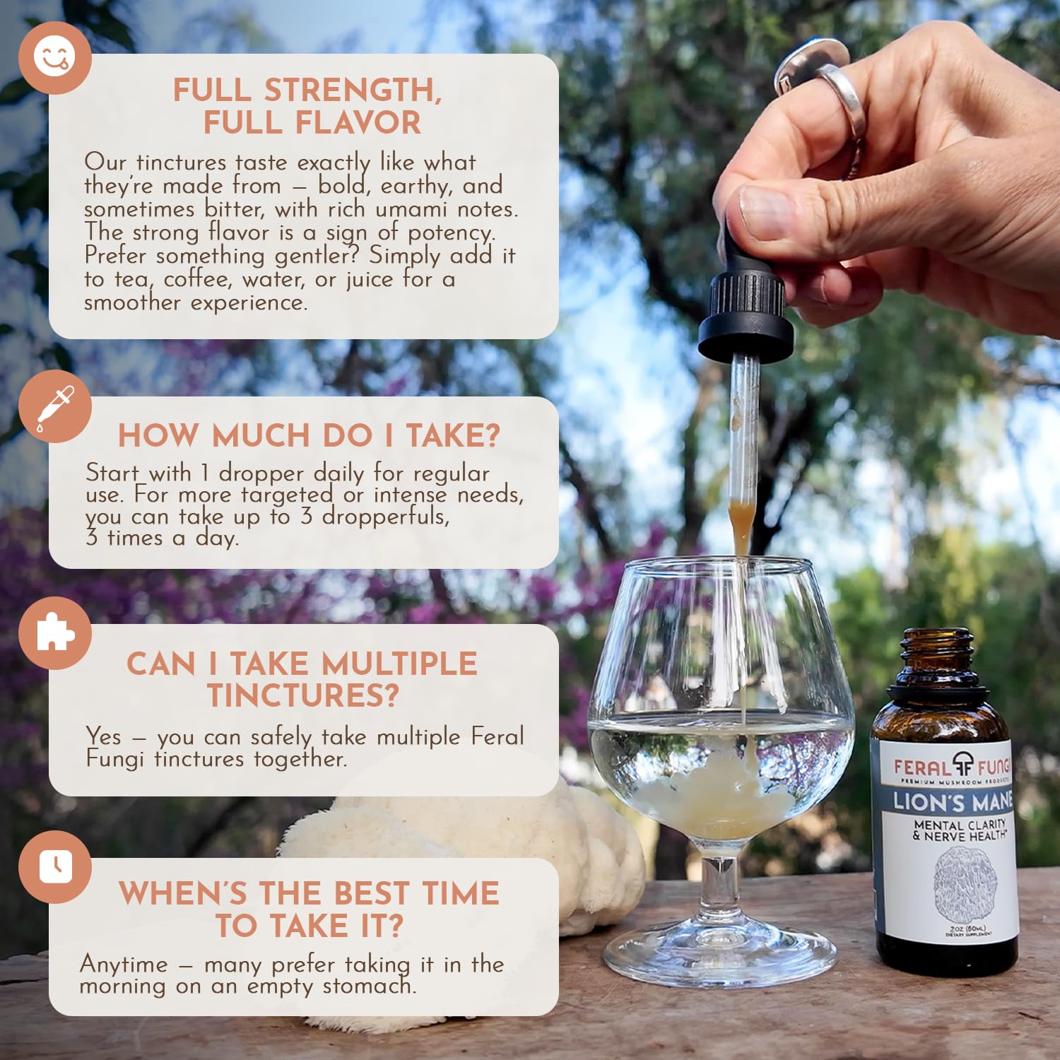 mushroom tincture for overall wellness