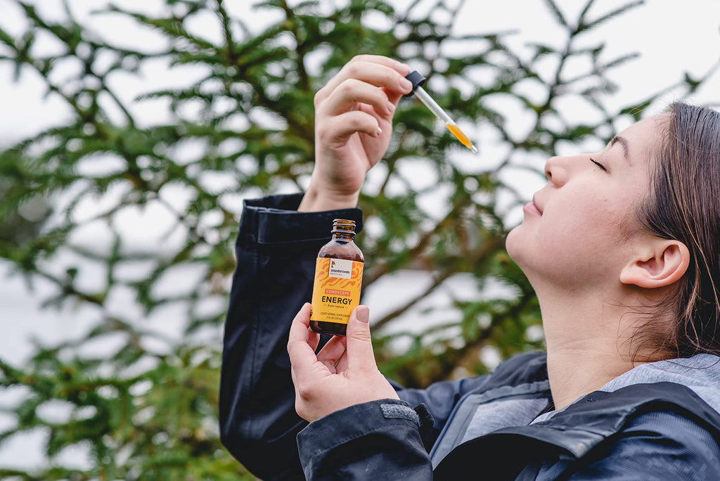 mushroom tincture for stress relief
