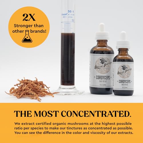 mushroom tincture for vitality