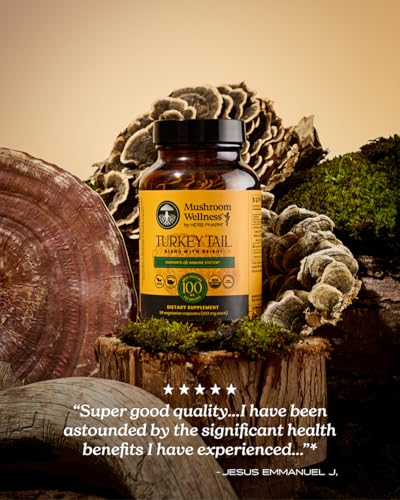 mushroom wellness for holistic health
