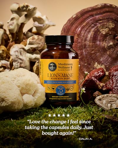mushroom wellness for mental performance