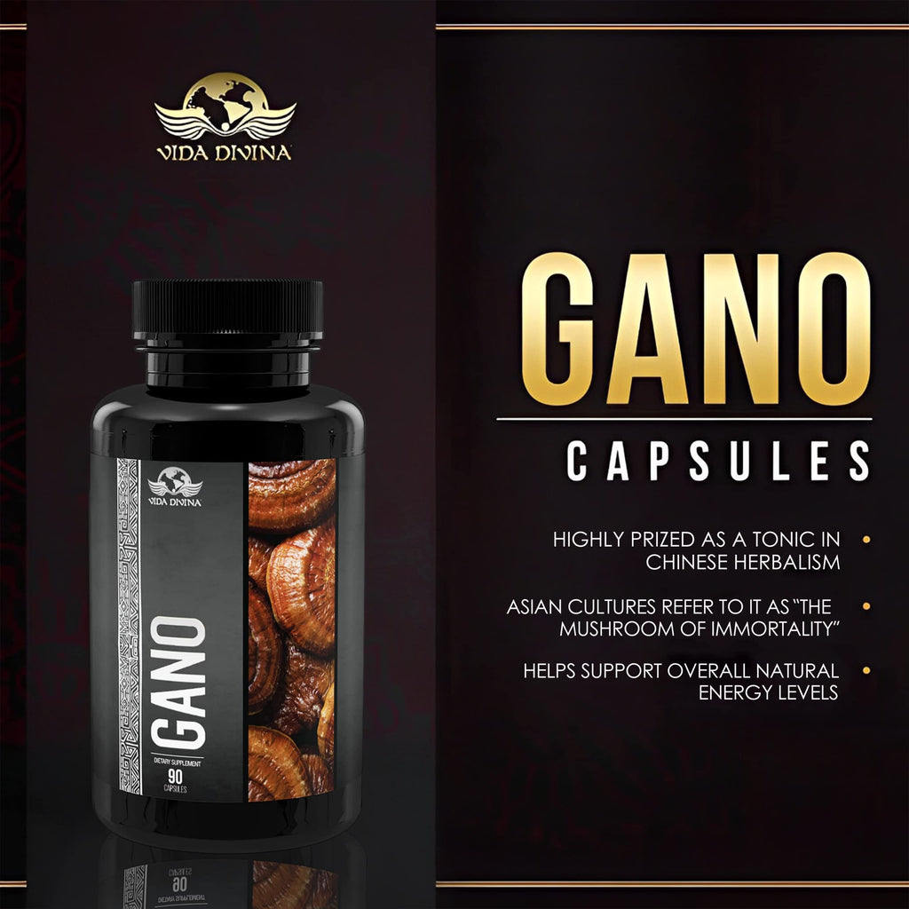 mushroom wellness tradition capsules