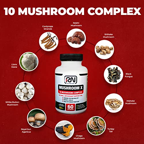 Mushroom X Reishi relaxation benefits