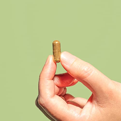 mushrooms and astragalus for vitality