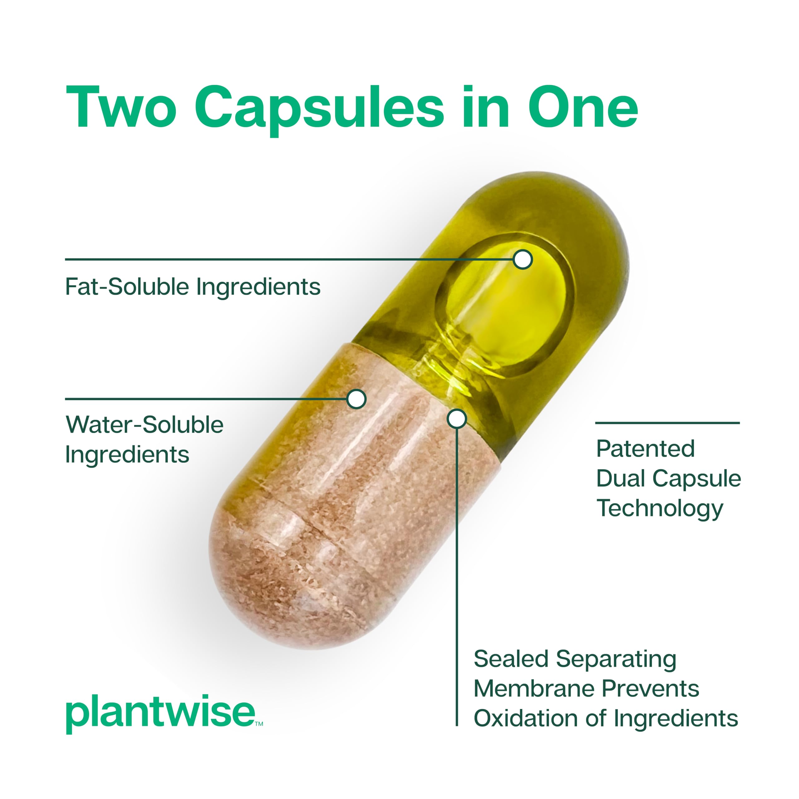 Mushrooms and vitamins for daily health